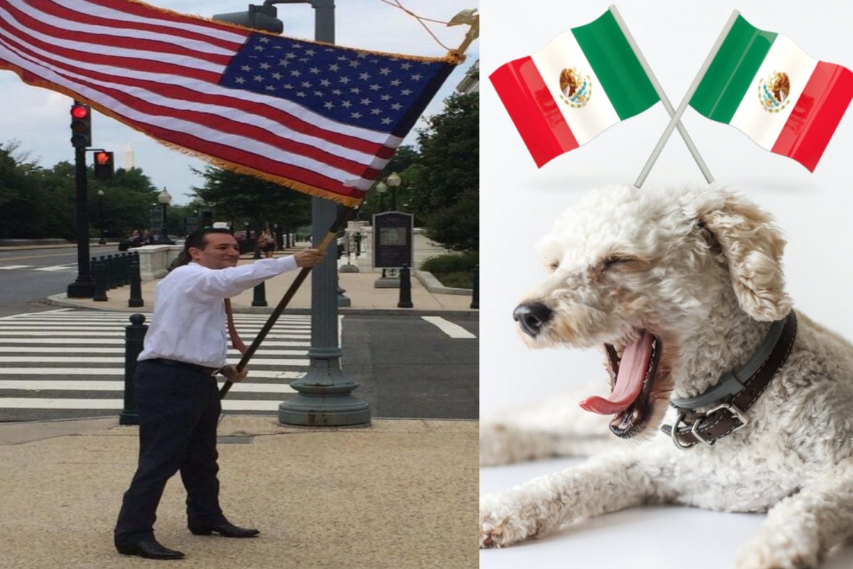 Ted Cruz flees icy-cold Texas for warm Cancun, leaving Snowflake, the ...