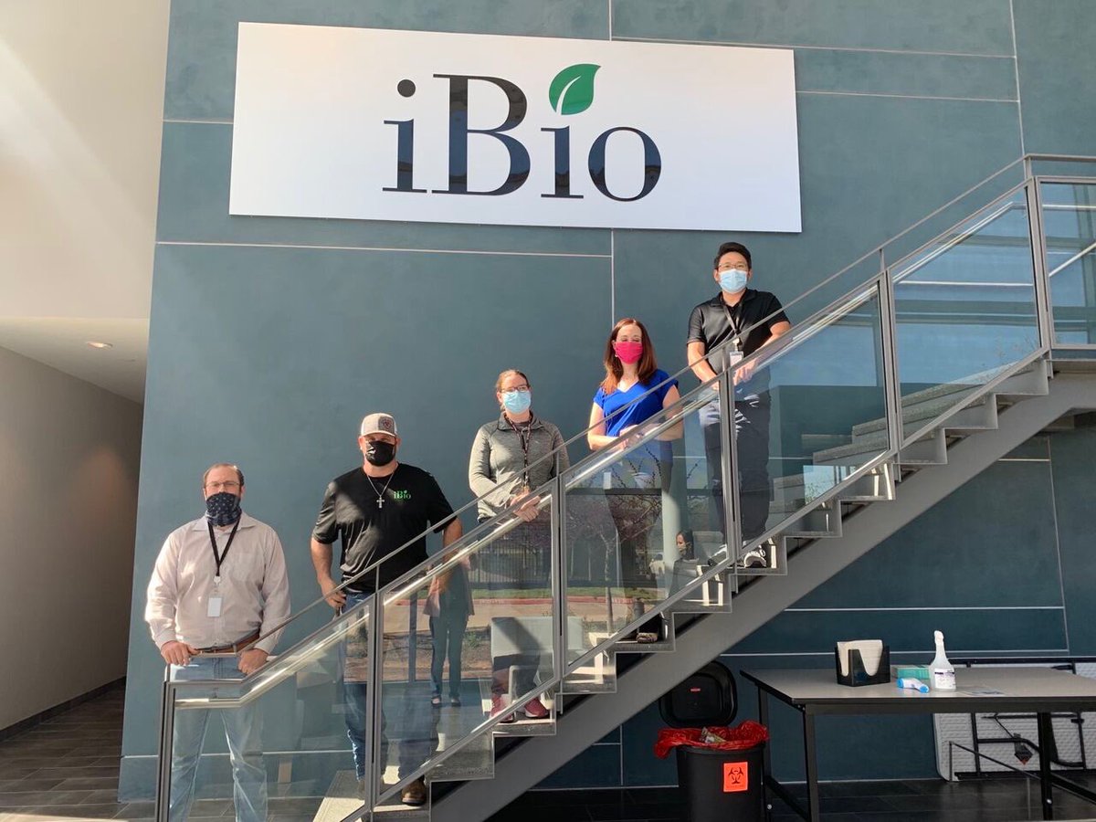 iBIO Inc. 2021 Q1 Earnings. Should you Buy, Hold or Sell? - CWEB