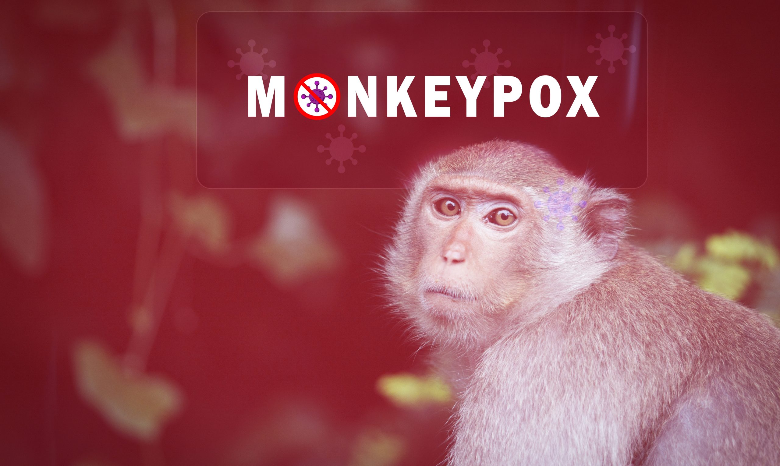 The Dangers and Warning Signs of Monkeypox - CWEB