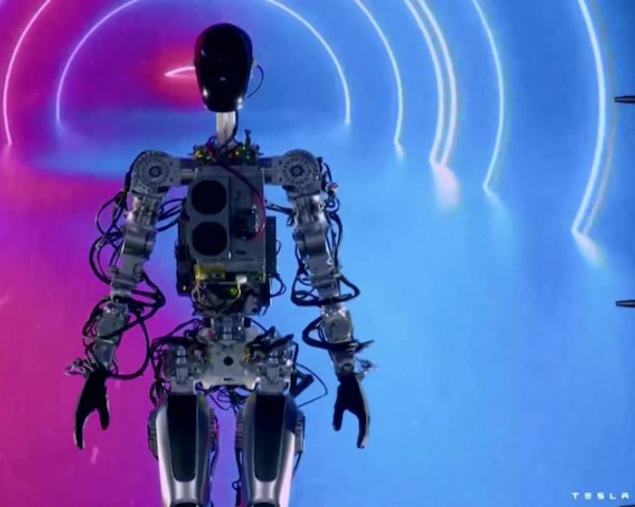 Watch: Elon Musk unveils robot prototype that walks, to cost less than ...