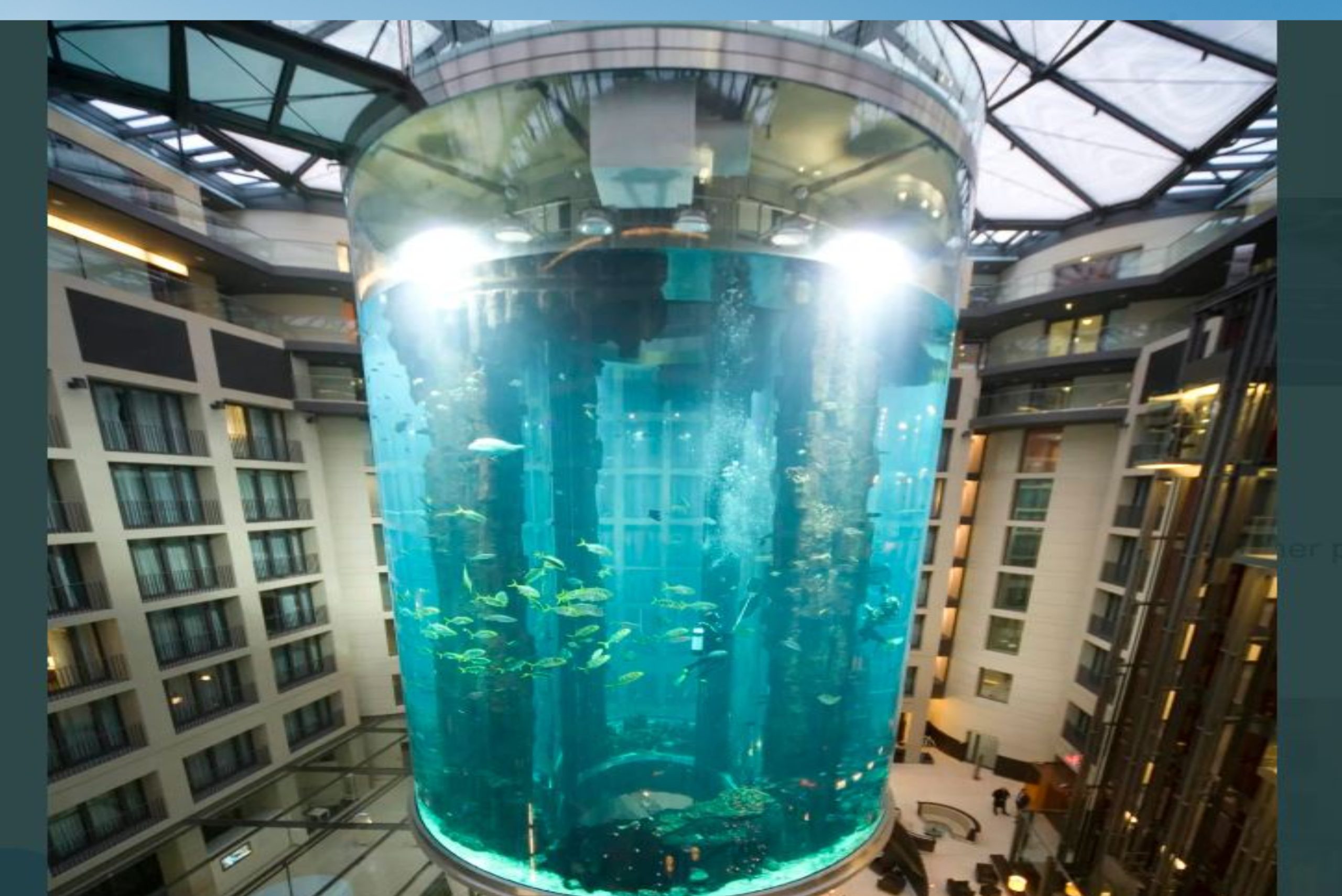 Watch: Berlin’s AquaDom hotel aquarium containing 1,500 fish explodes ...