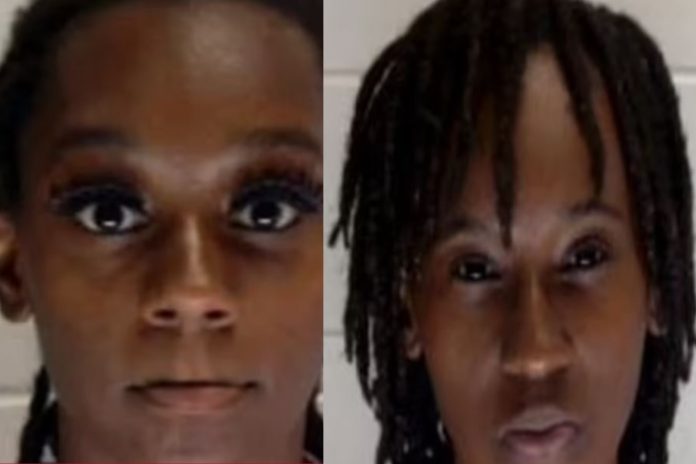 Police Apprehend Teenage Girl for Sexual Battery and Rape of Two Young ...