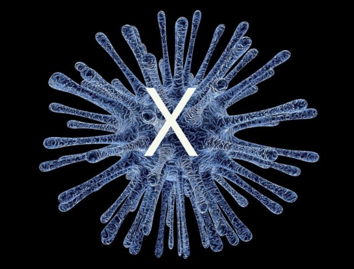 Disease X: World Health Organization Alerts to Imminent Epidemic - CWEB